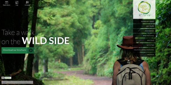 36 Beautiful Big Background Image Website Designs